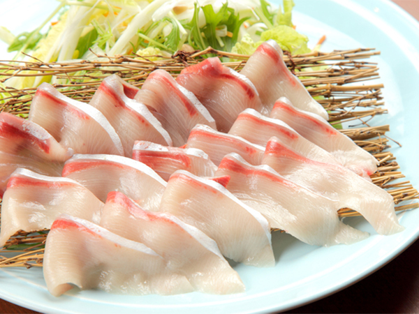 Fish in August – Fukuoka Fish Market - Global Ocean Trading LLC.