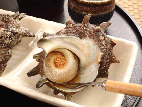 Fish in August – Fukuoka Fish Market - Global Ocean Trading LLC.