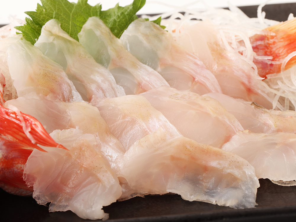 Fukuoka Market in November - Global Ocean Trading LLC.